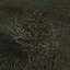 Max Western Tumble Weed
