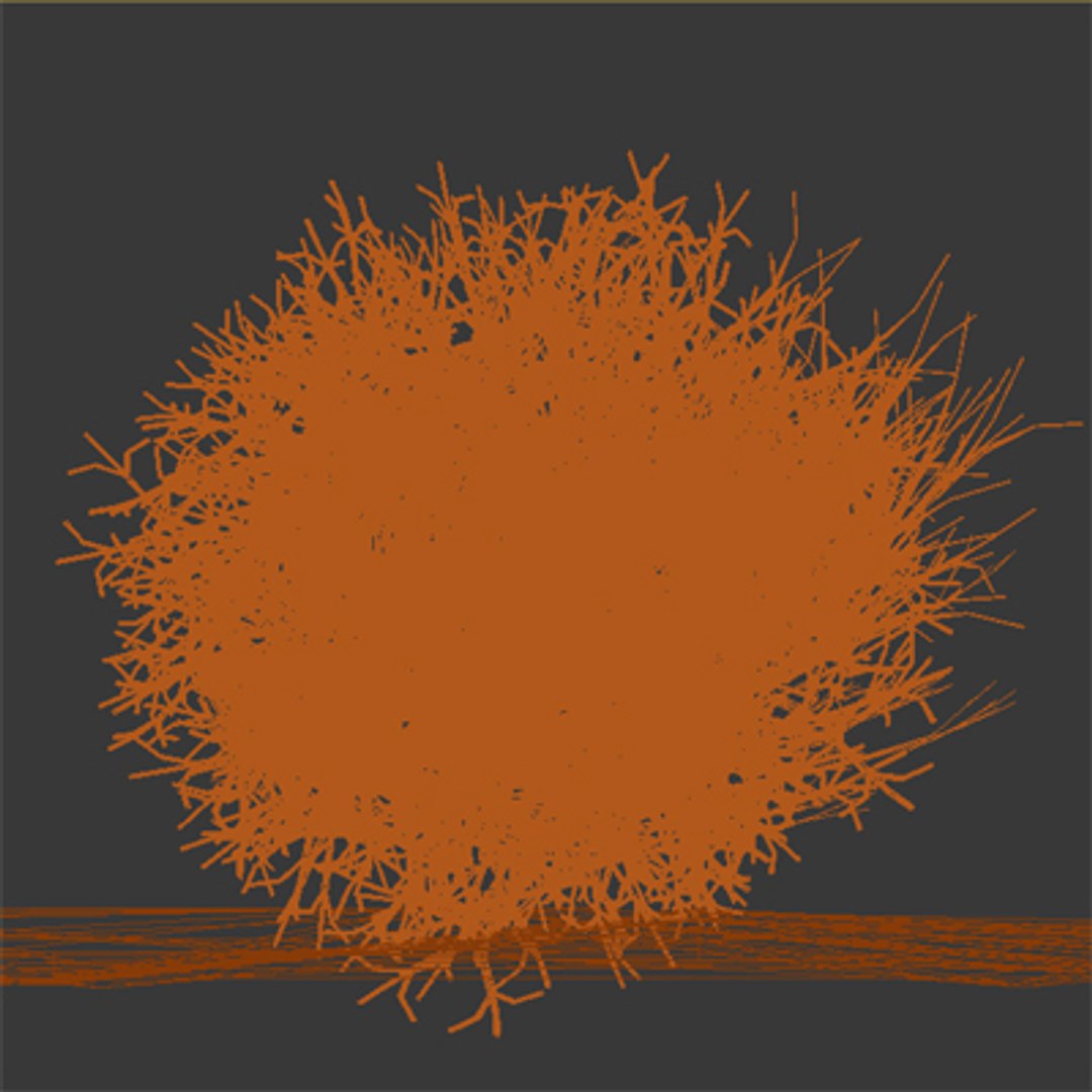 Max Western Tumble Weed