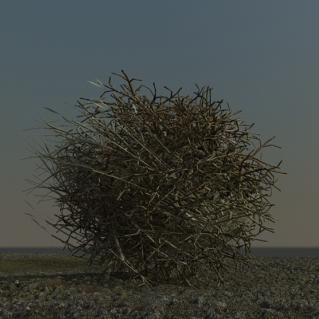 Max Western Tumble Weed