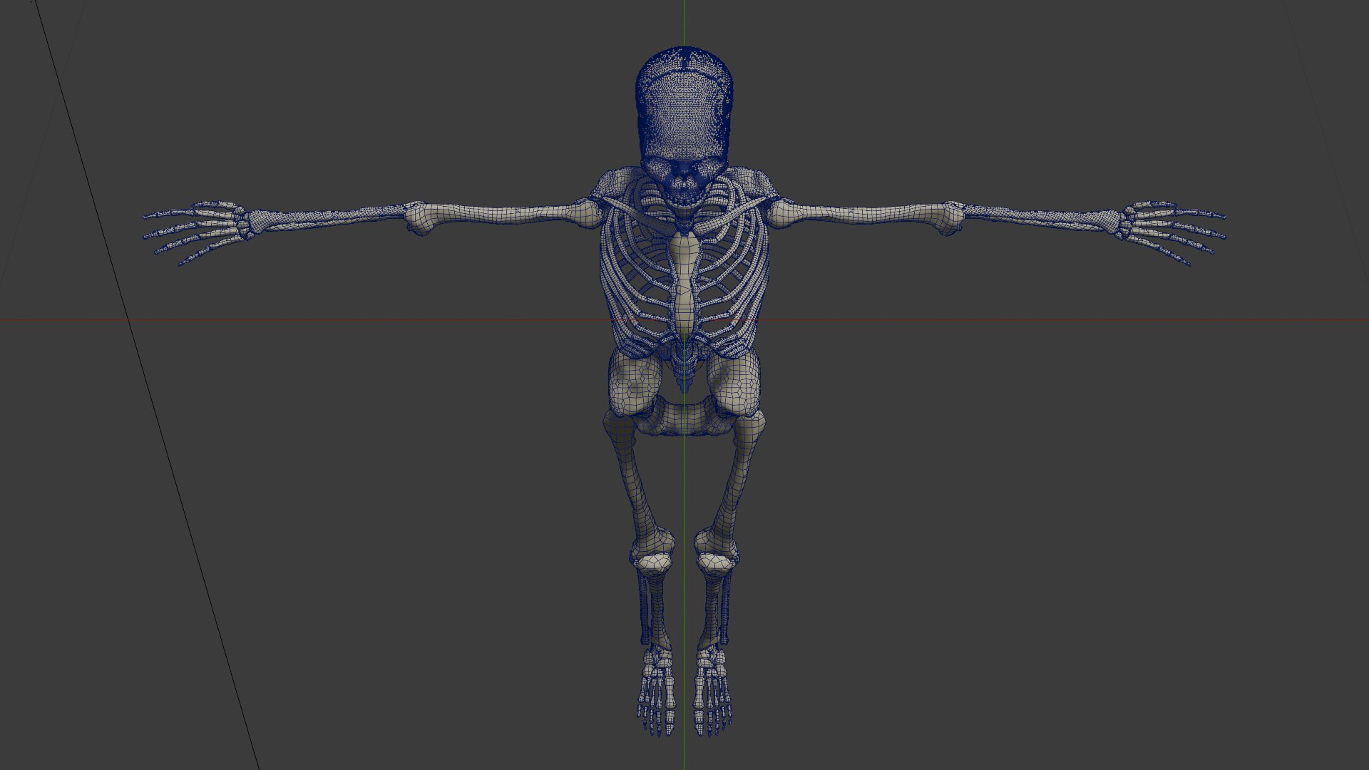 Human Skeleton Model - TurboSquid 2237658