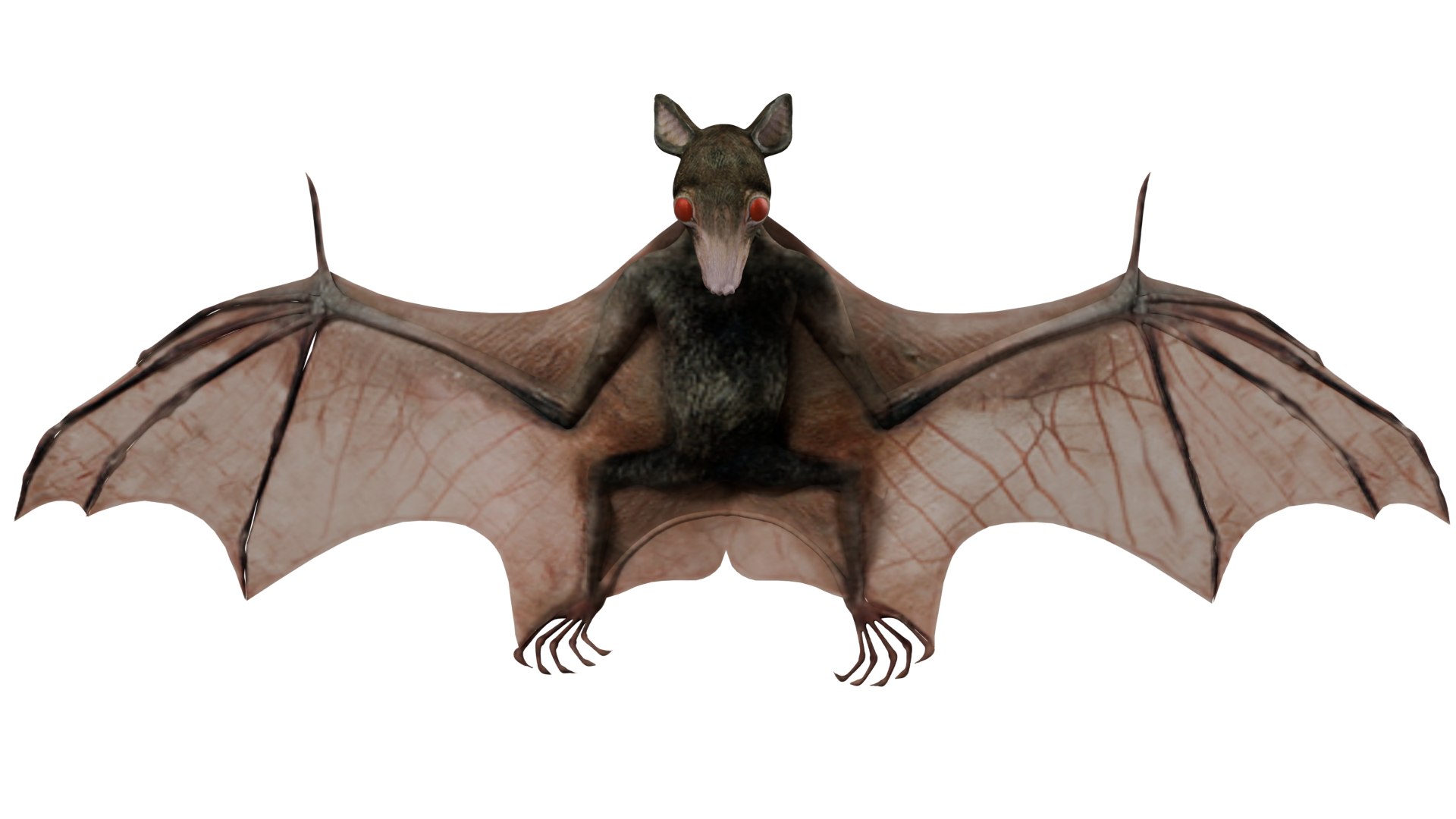 3D Bat Klelawar - TurboSquid 2236488