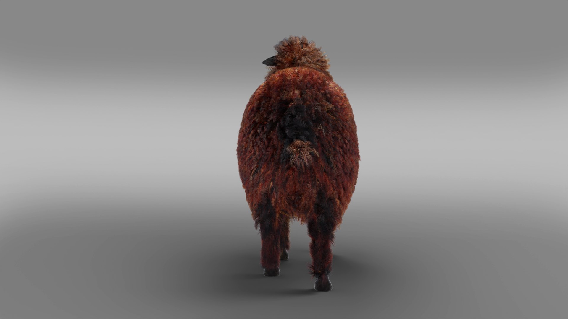 3D Fur Black Sheep Rigged In Blender - TurboSquid 1906760
