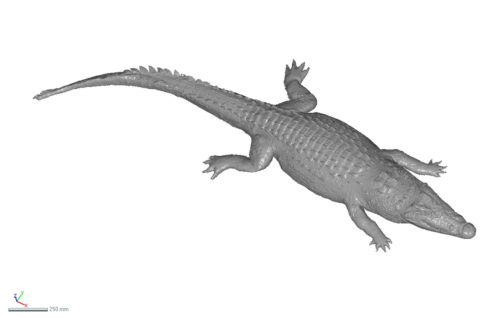 Crocodile Aligator 3D Model - TurboSquid 1244906