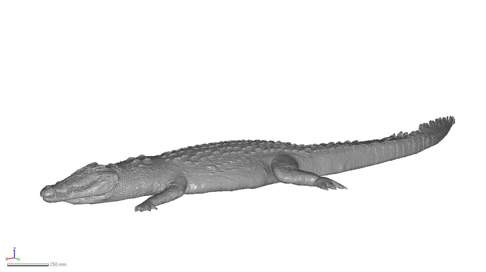 Crocodile Aligator 3D Model - TurboSquid 1244906