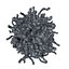 Leukocyte White Blood Cell Obj