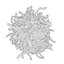 Leukocyte White Blood Cell Obj