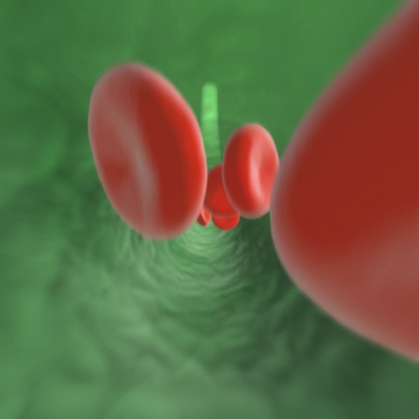 3ds max bloodcells flowing vein