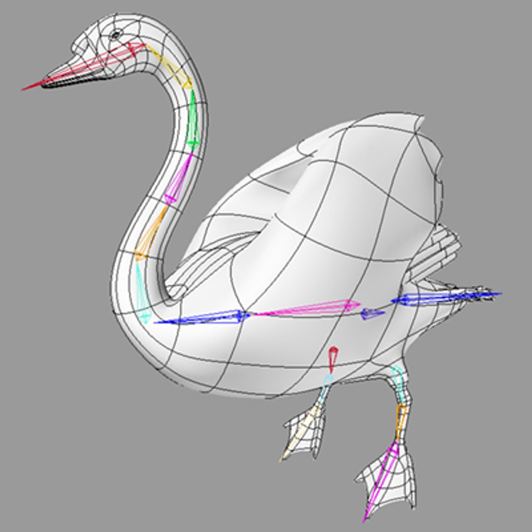 swan swimming walking 3d model
