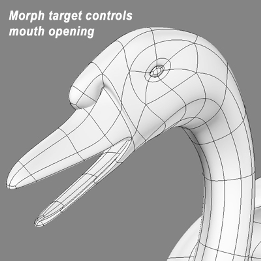 swan swimming walking 3d model