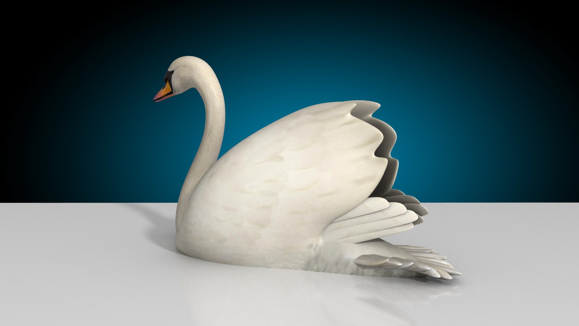 Swan Swimming Walking 3d Model