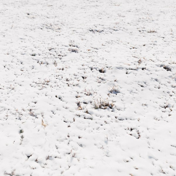 Snow Ground Blender Models for Download | TurboSquid