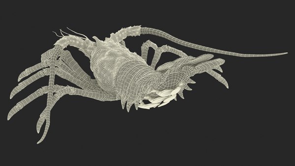 3d rock lobster model