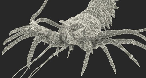 3d rock lobster model