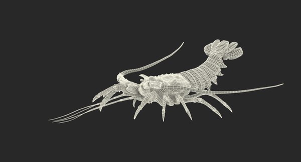 3d rock lobster model