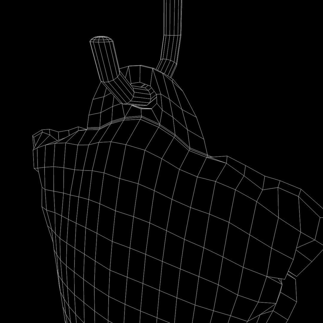 3d Model Injection Container