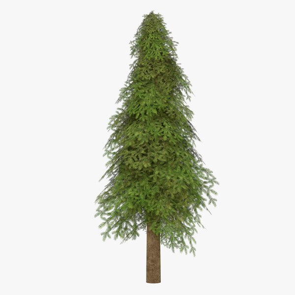 Fir Tree Blender Models for Download | TurboSquid