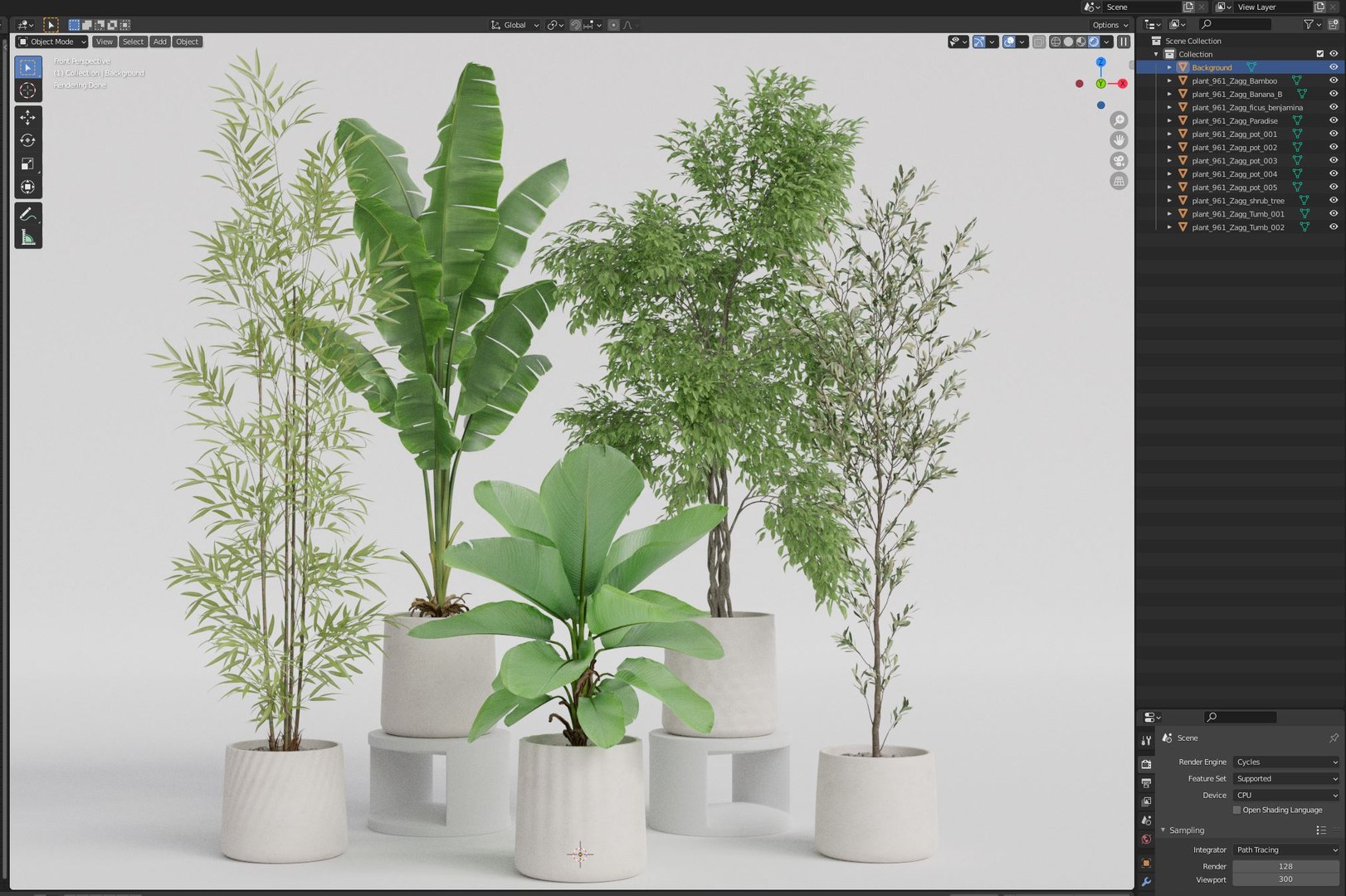 3D Plants Collection 961 - TurboSquid 2102299
