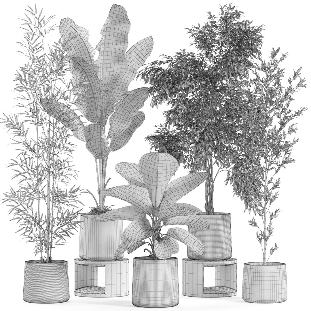 3D Plants Collection 961 - TurboSquid 2102299
