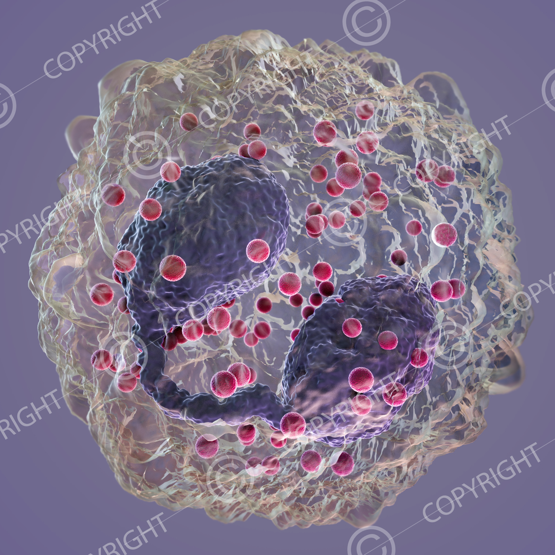 Science 3D model - TurboSquid 1372689