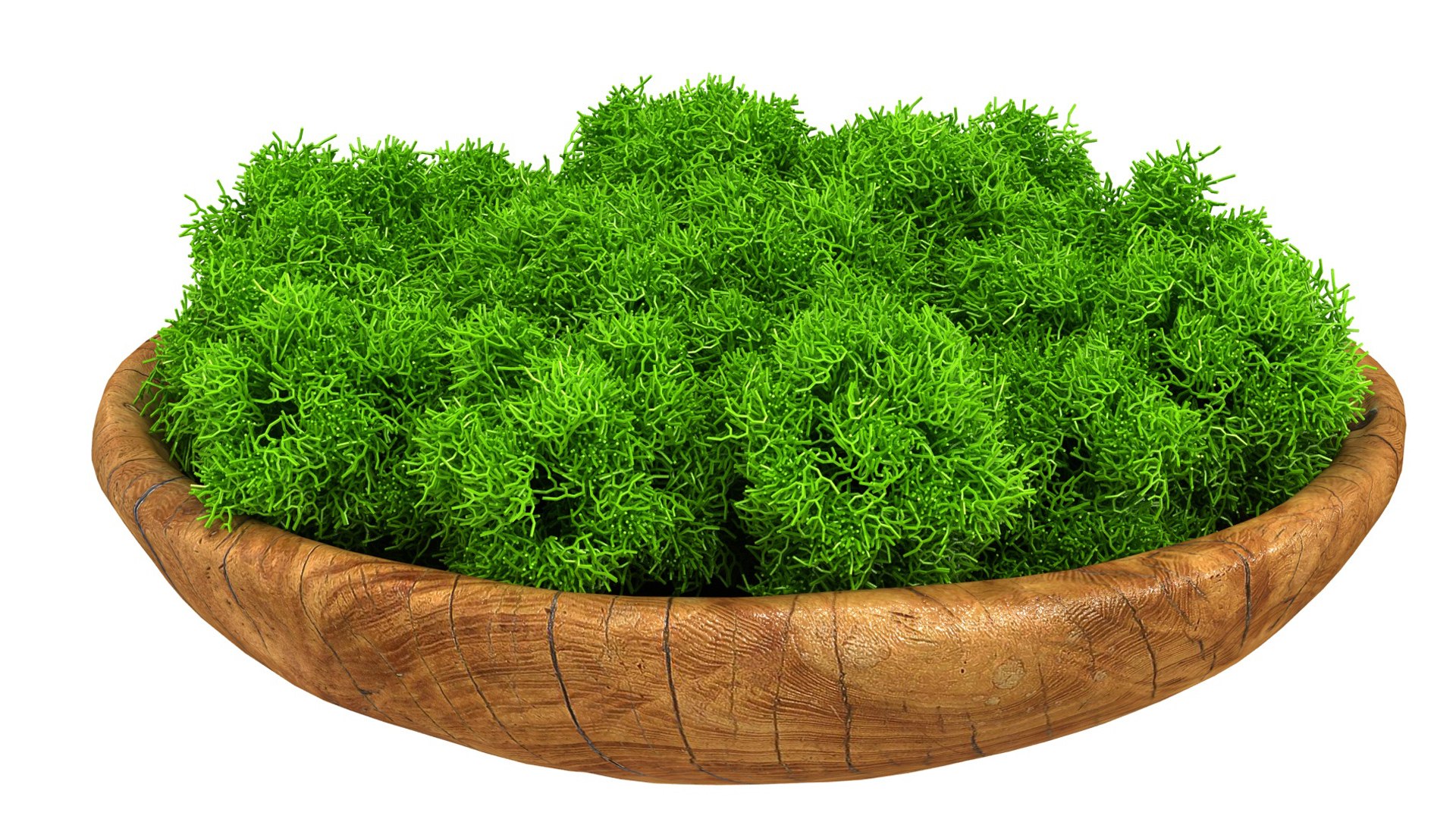 Wood Bowl With Moss 3D Model - TurboSquid 2375355
