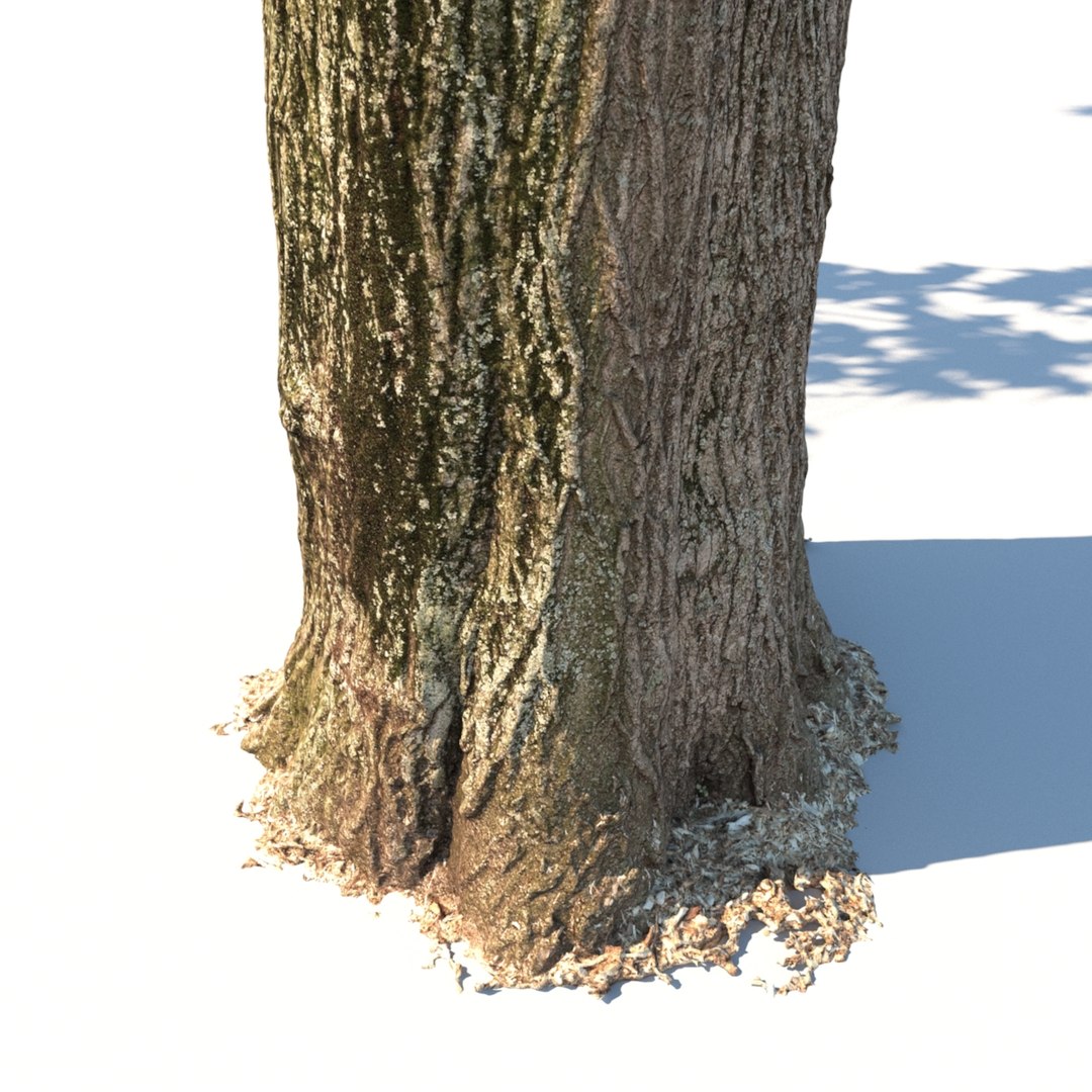 Realistic Mature Tree Max