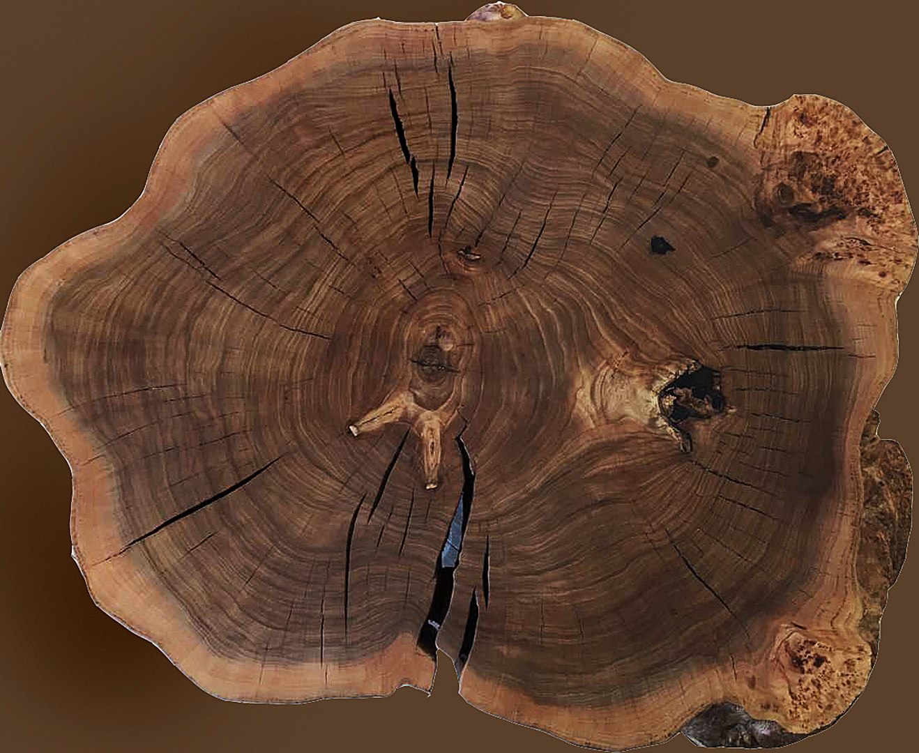 Tree Trunk Rustic Coffee Table 3D Model Model - TurboSquid 2383477