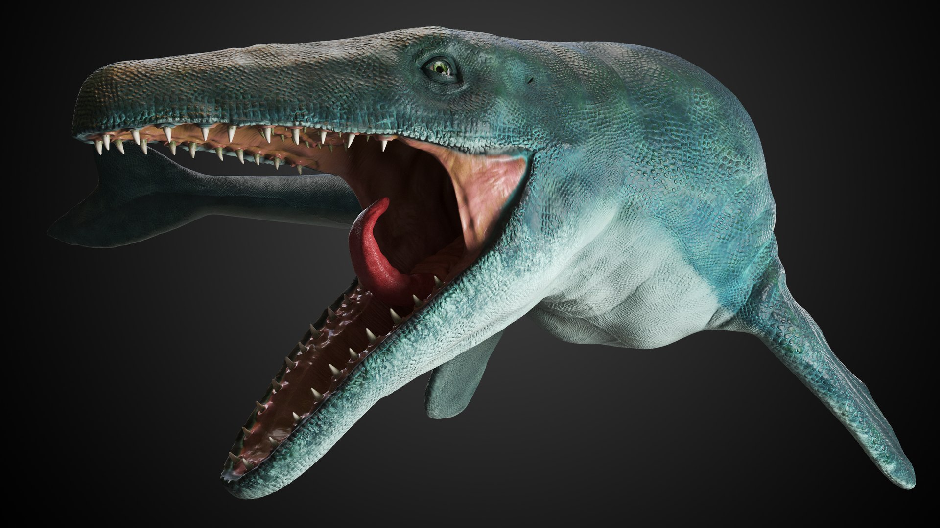 3D Mosasaurus Hoffmannii Rigged Model - TurboSquid 2385849