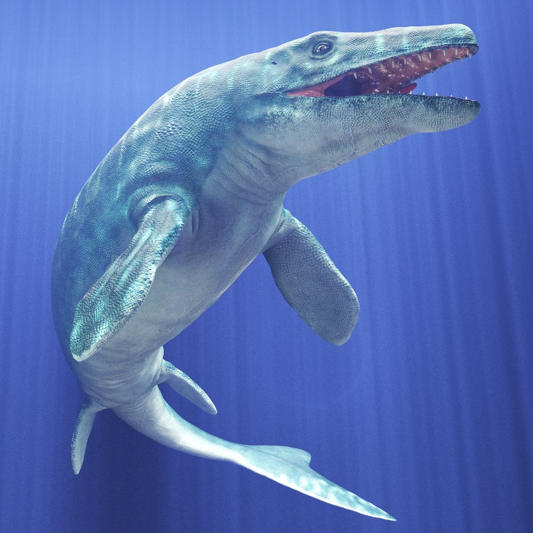3D Mosasaurus Hoffmannii Rigged Model - TurboSquid 2385849
