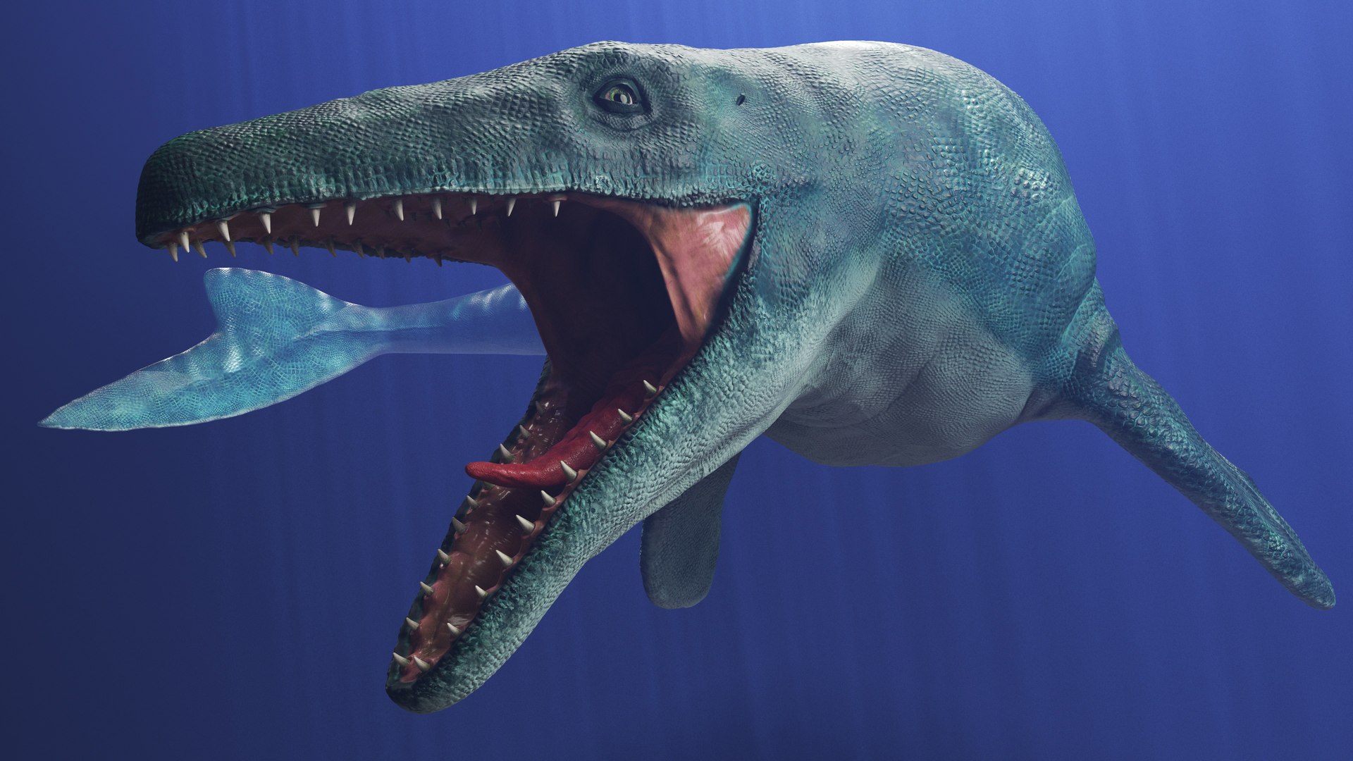 3D Mosasaurus Hoffmannii Rigged Model - TurboSquid 2385849