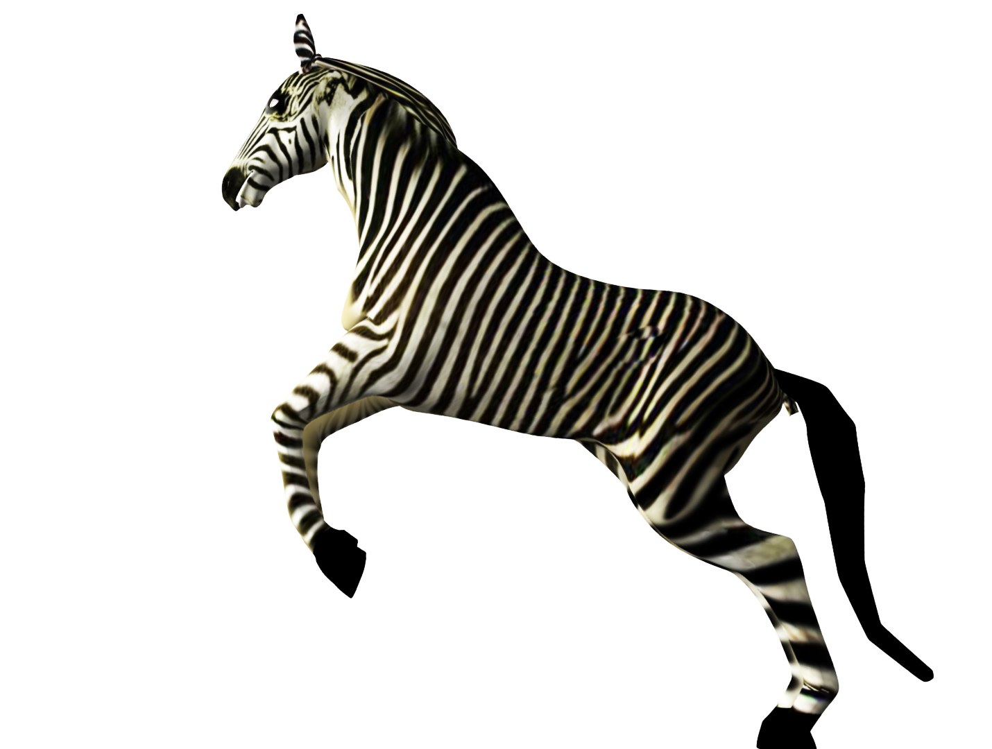 3D Rigged Zebra Animations - TurboSquid 1371067