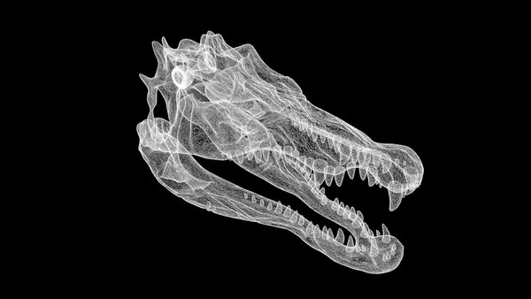 modelo 3d Cráneo de espinosaurio - TurboSquid 1886465