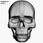 3ds Animation Skull Talk