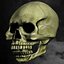 3ds Animation Skull Talk