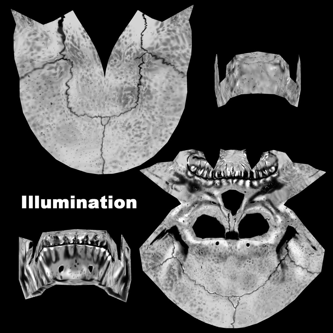 3ds Animation Skull Talk