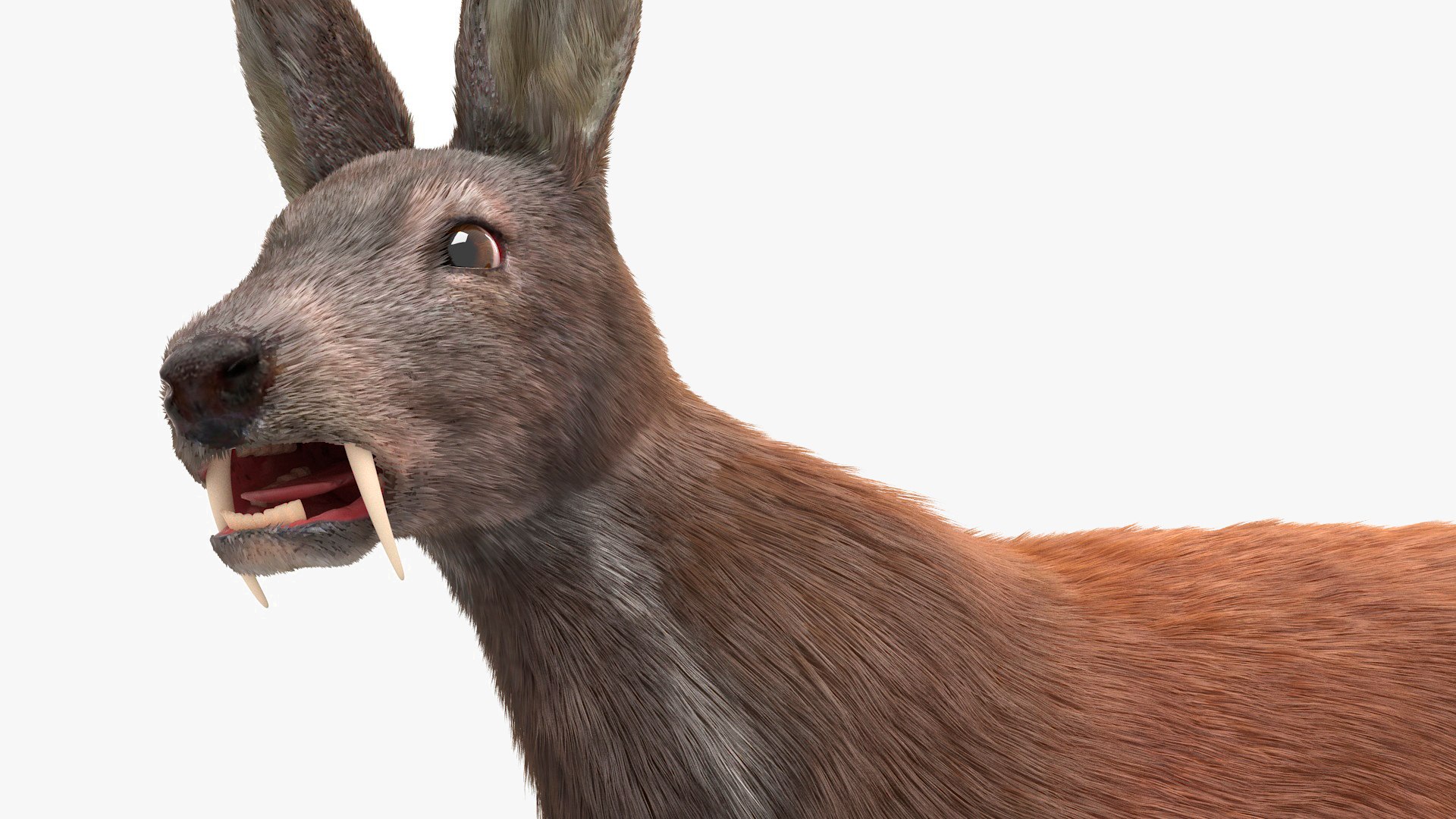 3D Model Musk Deer Rigged Fur - TurboSquid 2180757