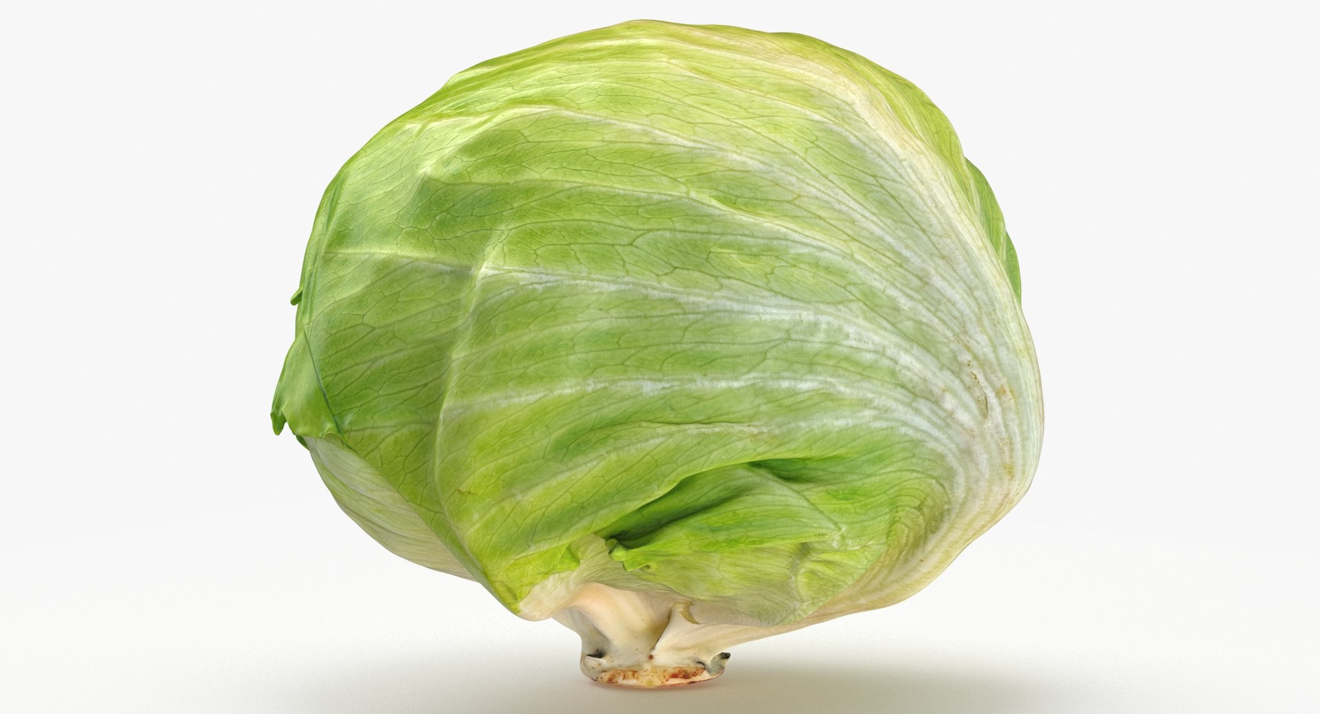 Lettuce 02 3D Model - TurboSquid 1838798