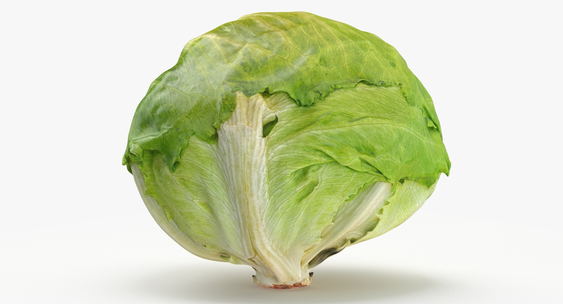 Lettuce 02 3D Model - TurboSquid 1838798