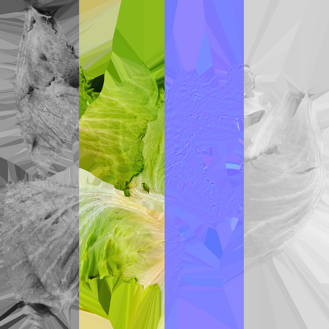 Lettuce 02 3D model - TurboSquid 1838798