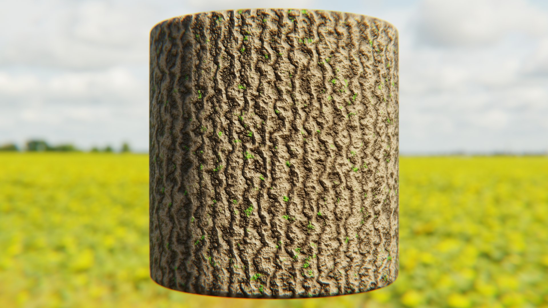 Procedural Tree Bark Material 3D Model - TurboSquid 2311624