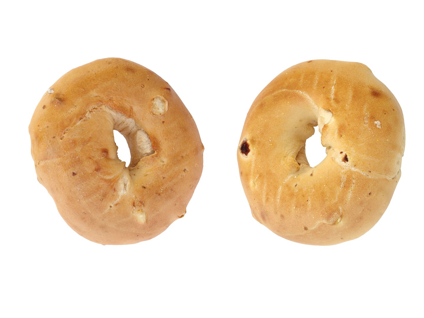Bagel Plain 3D Model - TurboSquid 2094032