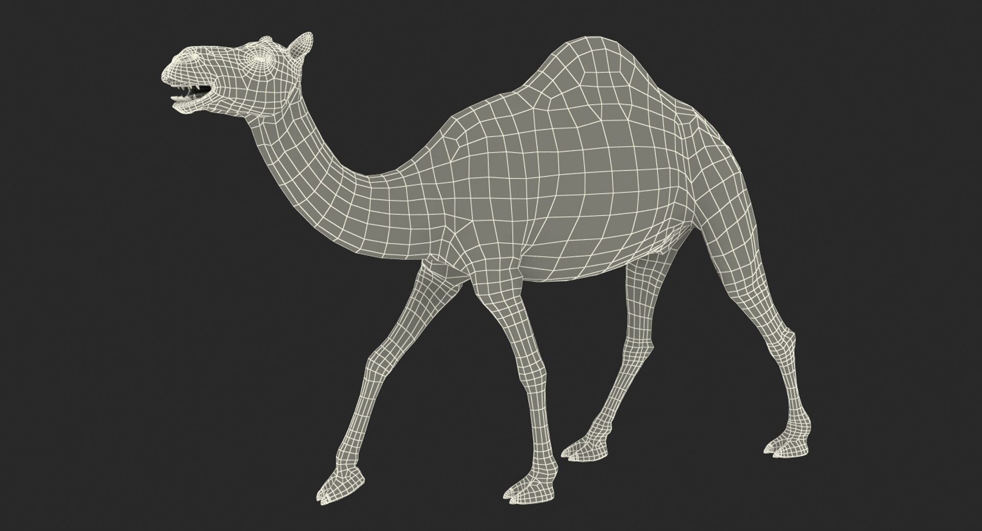 camel rigged 3d ma
