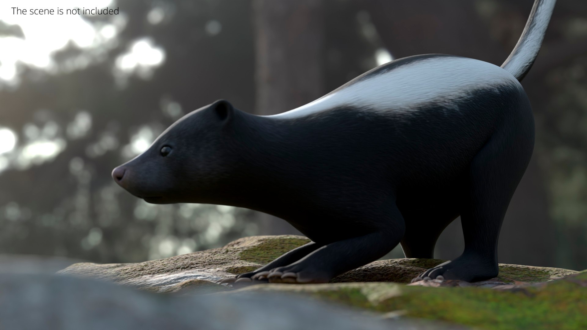 Skunk Animal Animated Rigged For Blender Model - TurboSquid 2487608