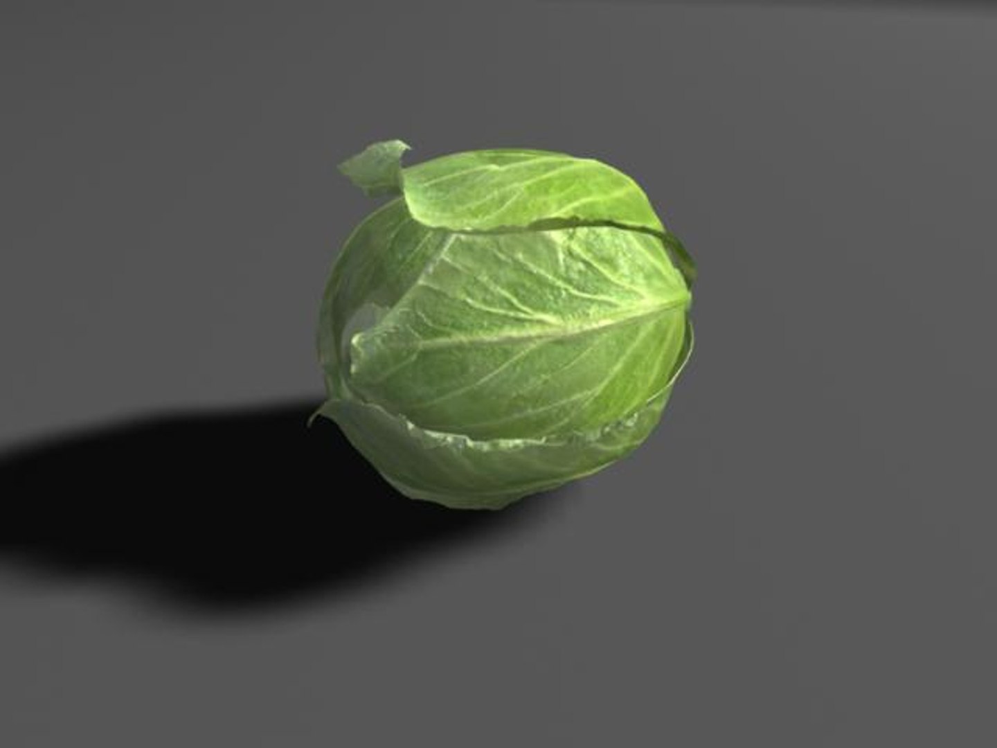 Lettuce Leaves 3d Model