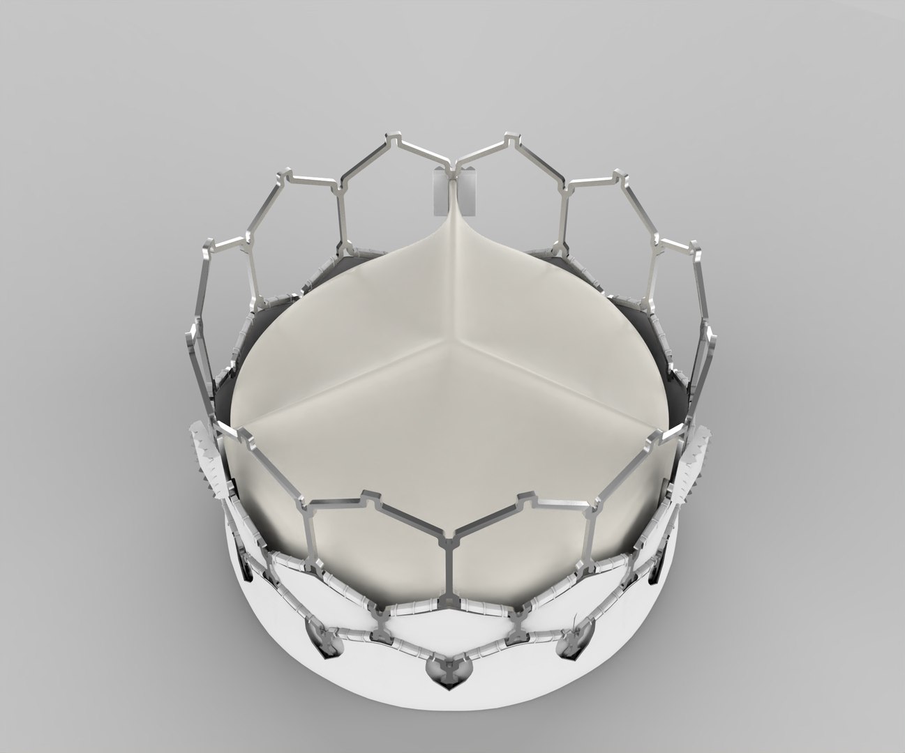3D model Heart Valve - TurboSquid 2168993