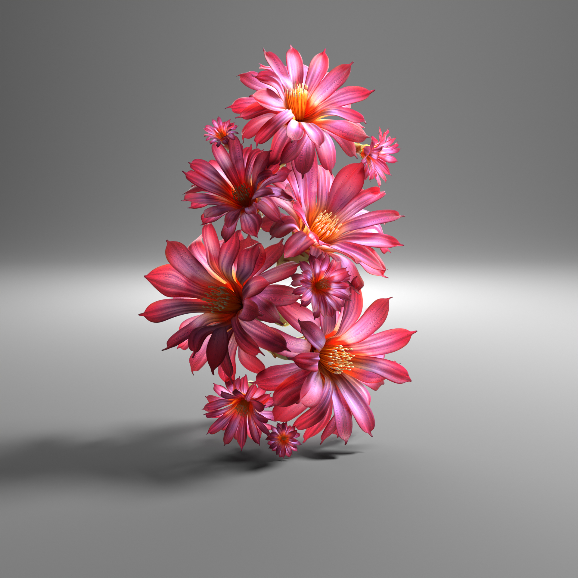 3D blooming cactus model - TurboSquid 1690924