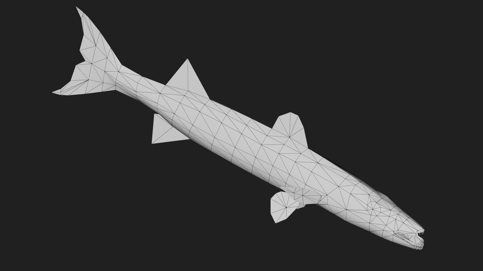 Barracuda 3D Model - TurboSquid 2123260