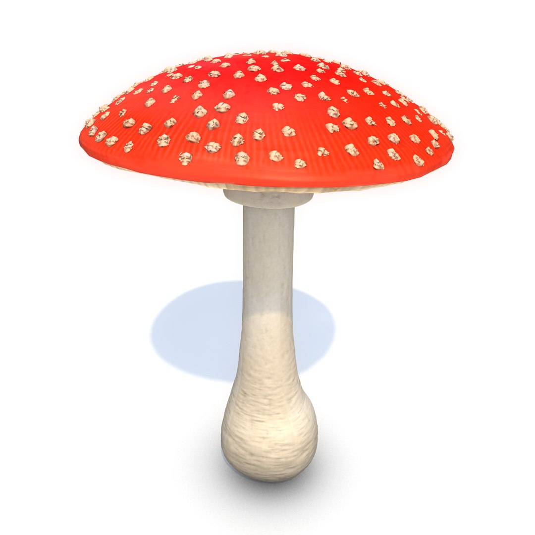 Fly Agaric Obj