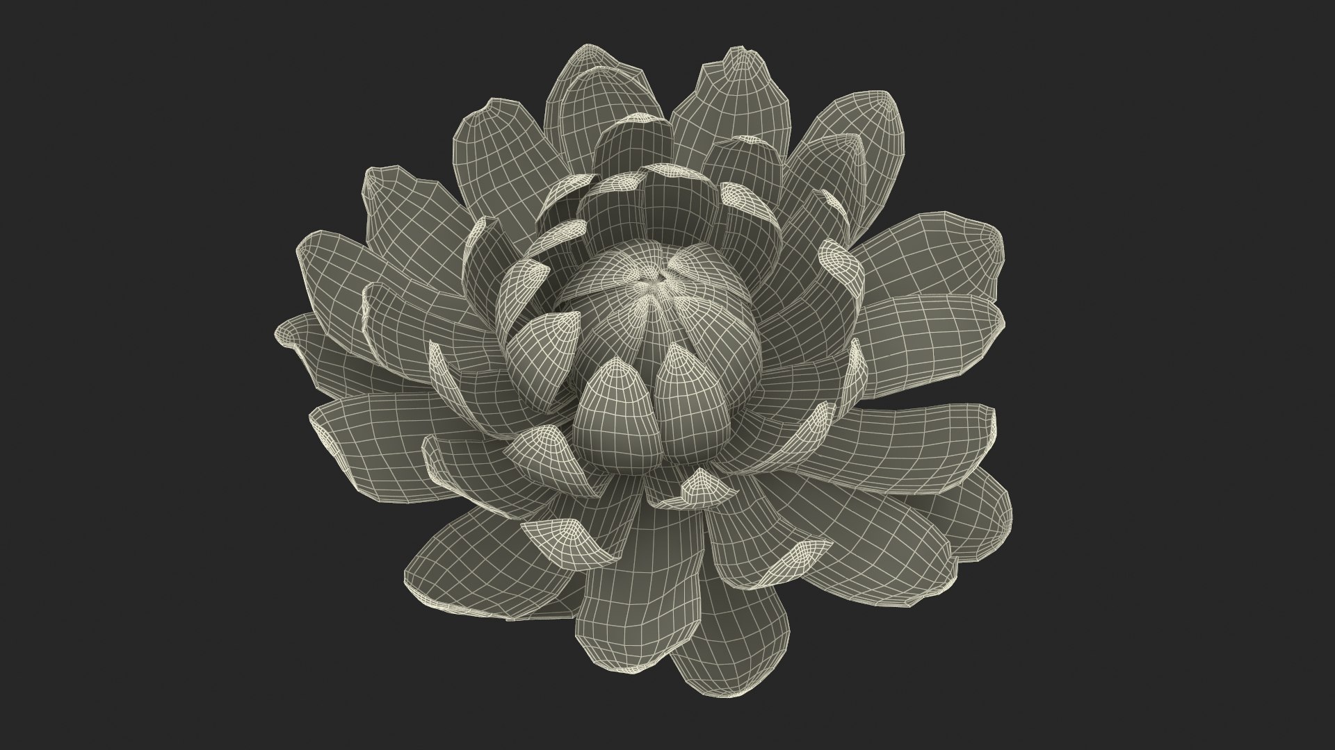 Flower Victoria Amazonica 3D Model - TurboSquid 2203724