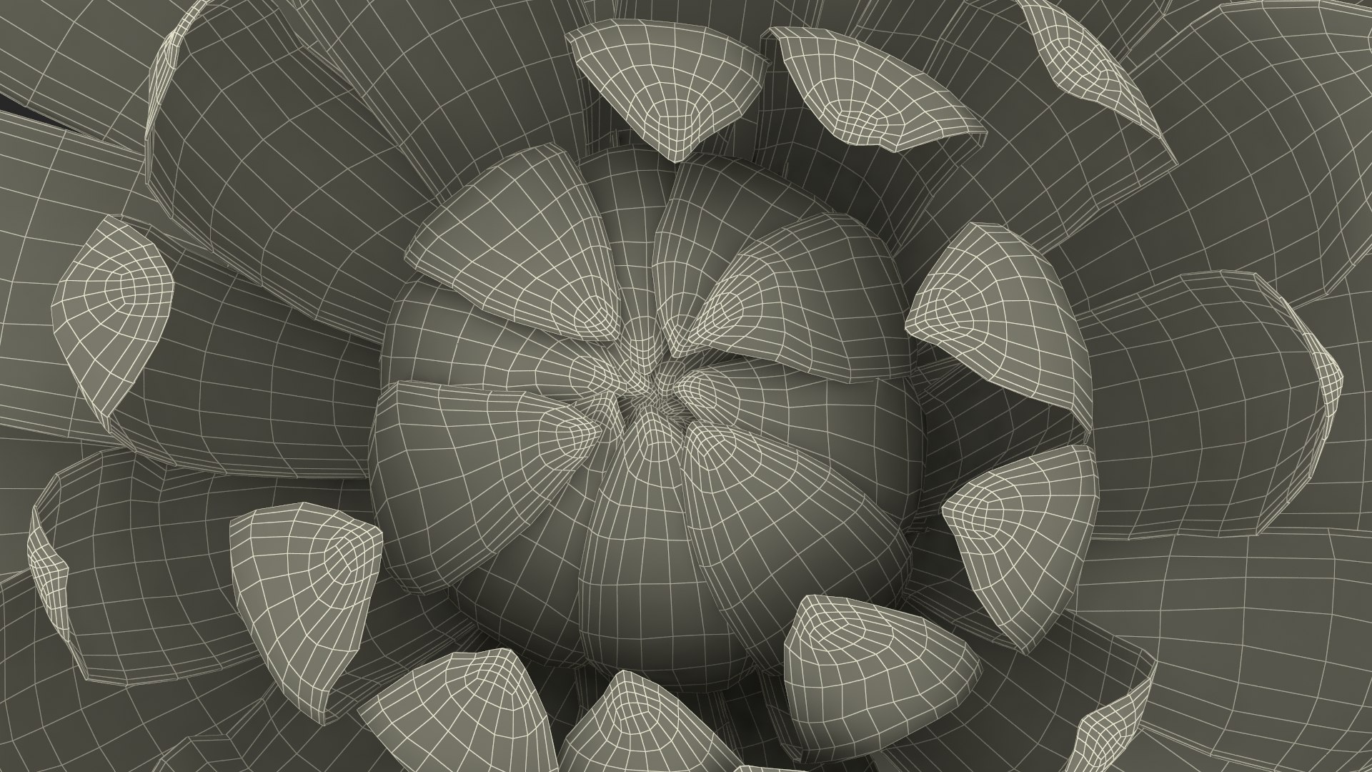 Flower Victoria Amazonica 3D Model - TurboSquid 2203724