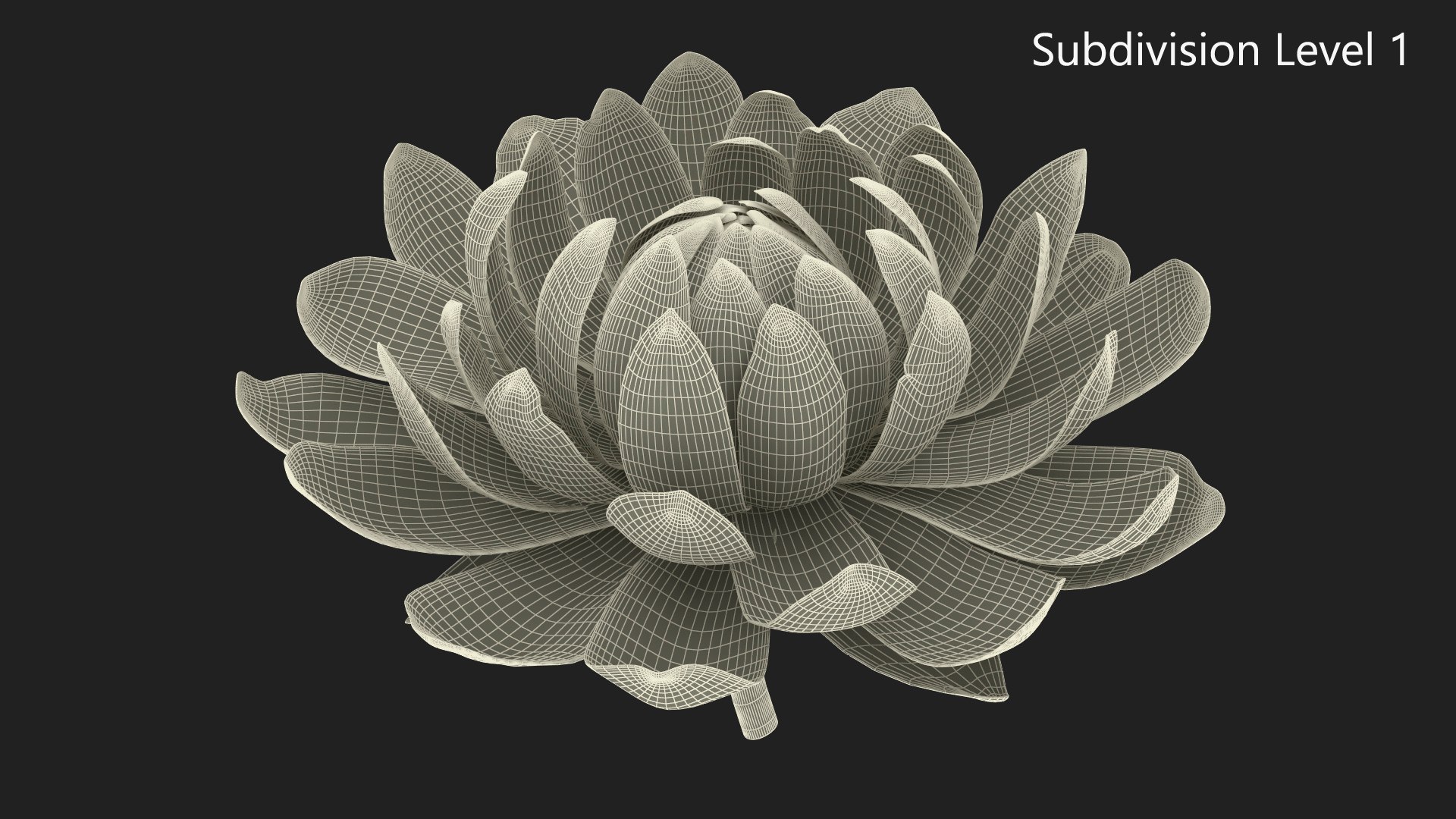 Flower Victoria Amazonica 3D Model - TurboSquid 2203724